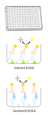 ELISA – Houston Omics Collaborative
